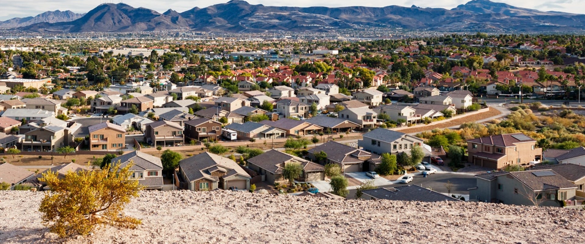 Tax Incentives and Programs for Real Estate Buyers in Las Vegas, Nevada